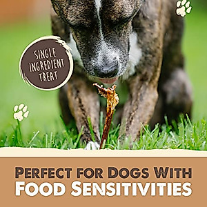 Mighty Paw Collagen Sticks for Dogs | Long Lasting Dog Chews. Rawhide Free Dog Chews Long Lasting. Collagen Chews for Dogs. Dog Chew Sticks. Beef Collagen Sticks for Dogs. Dog Chew Treats. (8 Pack)