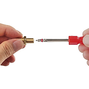 A.I.FORCE 4Pcs 1/8" NPT Brass Schrader Tank Fill Valve with Anti-Corrosion Cap & Replacement Valve Stems