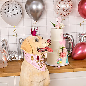 Dog Birthday Party Decorations, Dog Birthday Hat/Bandana/Bowtie/Balloon/Flag/Banner for Small Medium Large Dogs Pets, Doggie Boys/Girls Birthday Party Supplies Decorations