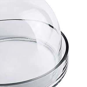 CYS EXCEL Bell Dome Cloche with Glass Base (H:7.5" W:8") | Multiple Size Choices Cake Dessert Display | Terrarium Jar Plant Cover