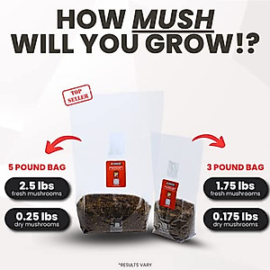 MushroomSupplies.com All in ONE Mushroom Grow Kit in-a-Bag (3 LBS) | Mushroom Grow Bag with Sterilized Grain and Substrate | Easy Grow Your Own Mushrooms