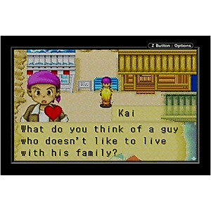 Harvest Moon More Friends of Mineral Town (Renewed)