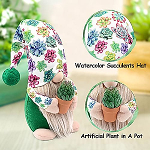 Succulent Gnomes Cactus Plants Gnomes Decor Swedish Tomte Doll Summer Stuffed Gnomes Plush Home Plants Tiered Tray Decoration Cacti Nordic Dwarf Gnomes Winter Gift for Her Coworker Plant Lady Decor