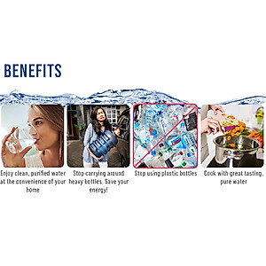 APEX Reverse Osmosis Drinking Water Filter (MR-5051)