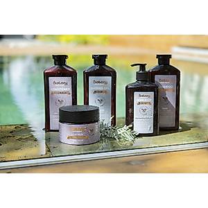 Botany Natural Conditioner for Normal to Dry Hair with Organic Argan Oil, Geranium, and Lavender - Vegan Conditioner for Women and Men SLS/SLES, Silicon, Paraben and Cruelty Free,17.6 oz