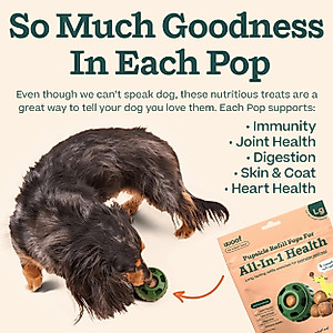 WOOF Pupsicle Refill Pops for All-in-1 Health - Long-Lasting Multivitamin Refills for The Pupsicle Toy - with Vitamins A, B, D, Iron, Magnesium, and Fiber - Large Pops - 7 Count