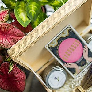 Creative Deco Large Wooden Storage Box with Hinged Lid | 11.8 x 7.87 x 5.51 inches (+-0.5) | Plain Unpainted Gift Box for Tool Toy Shoes Crafts Clothes Jewelry | Rough & UNSANDED Wood Keepsake Chest