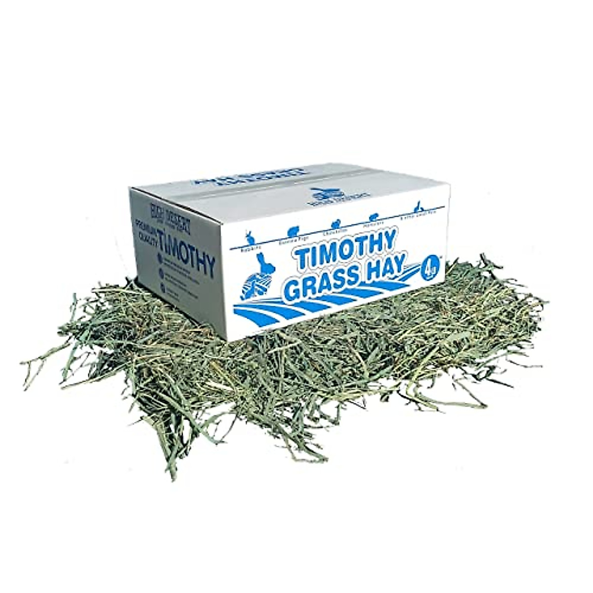 High Desert 2nd Cutting Timothy Grass Hay for Guinea Pigs, Rabbits, and More Small Animal Pets