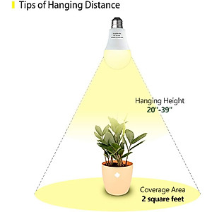 Wiyifada 6 Pack Full Spectrum Grow Light Bulbs,A19 Grow Lights for Indoor Plants,Dimmable E26 9W Grow Bulb Replace up to 100W,Plant Lights for Indoor Growing,Flowers,Indoor Greenhouse,Indore