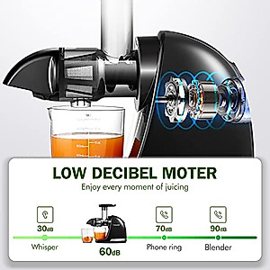 AMZCHEF Slow Masticating Juicer Bundle with Meat Grinder Attachment,Cold Press Juicer With Silent Motor and Reverse Function,with Sausage Stuffer Tubes and Grinding Plates