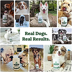 Doggie Dailies Glucosamine for Dogs – 225 Chews – Advanced Joint Supplement for Dogs with Chondroitin, MSM, Hyaluronic Acid & CoQ10 – Premium Dog Glucosamine (Chicken)