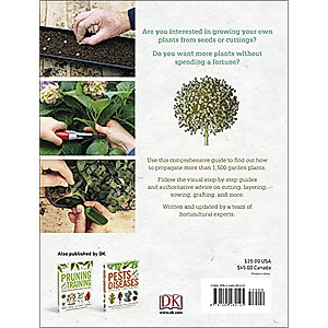 Propagating Plants: How to Create New Plants for Free