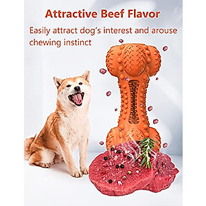 SCHITEC Squeaky Dog Chew Toy, Tough Durable Natural Rubber Bone with Toothbrush, Indestructible for Aggressive Chewers Large Medium Breed Teeth Cleaning