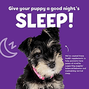 Snuggle Puppy Night Calm Puppy Bites - Calming Chew Bites for Dogs - Puppy Supplement to Support Restfulness & Sleep - Puppy Chew Bites with Melatonin, Chamomile & Ashwagandha - 60 Soft Chews