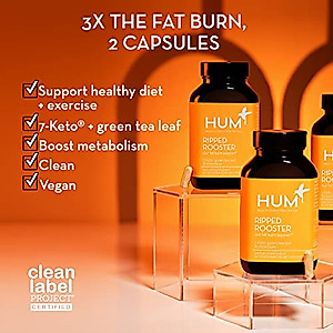 HUM Ripped Rooster - Natural Green Tea Fat Burner Supplement to Boost Metabolism & Control Cravings - 7 Keto DHEA + Chromium Polynicotinate to Support a Healthy Diet & Weight Management (60 Capsules)