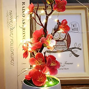 Fairy Lights Battery Operated, Mini Copper Wire String Lights, Full Star Colored Lights Battery LED String Lights Wedding Christmas Decoration Copper Wire String Lights Cake(5 meter with 50 lights)