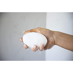 Spongeables Shaving Soap In a Sponge, Exfoliating Sponge for Use Before Shaving, Aloe and Shea Butter, Moisturizer and Exfoliator, Coconut, 2 Count