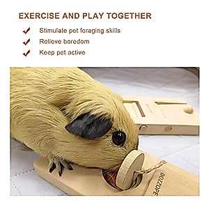 DOZZOPET Wooden Enrichment Foraging Toy for Small Pet,Interactive Hide Treats Puzzle Snuffle Game,Mental Stimulation Toy for Hamster,Guinea Pig,Rabbit,Chinchilla