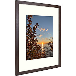 Golden State Art, 16x20 Picture Frames with Mat for 11x14 or 16x20 Picture Collage Gallery Wall Frame with Real Glass, Brown, 2 Pack