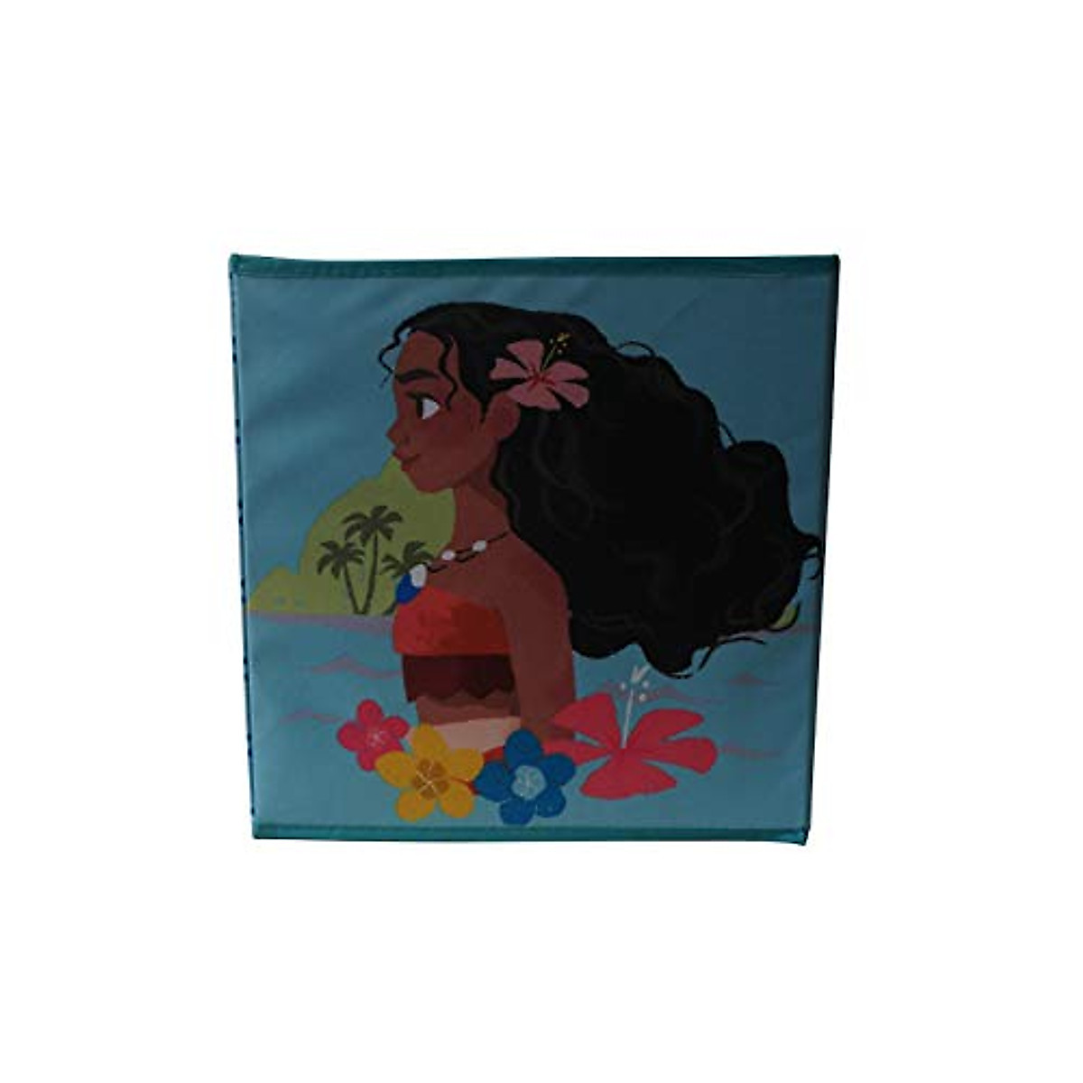 Disney Moana Storage Cube Multi