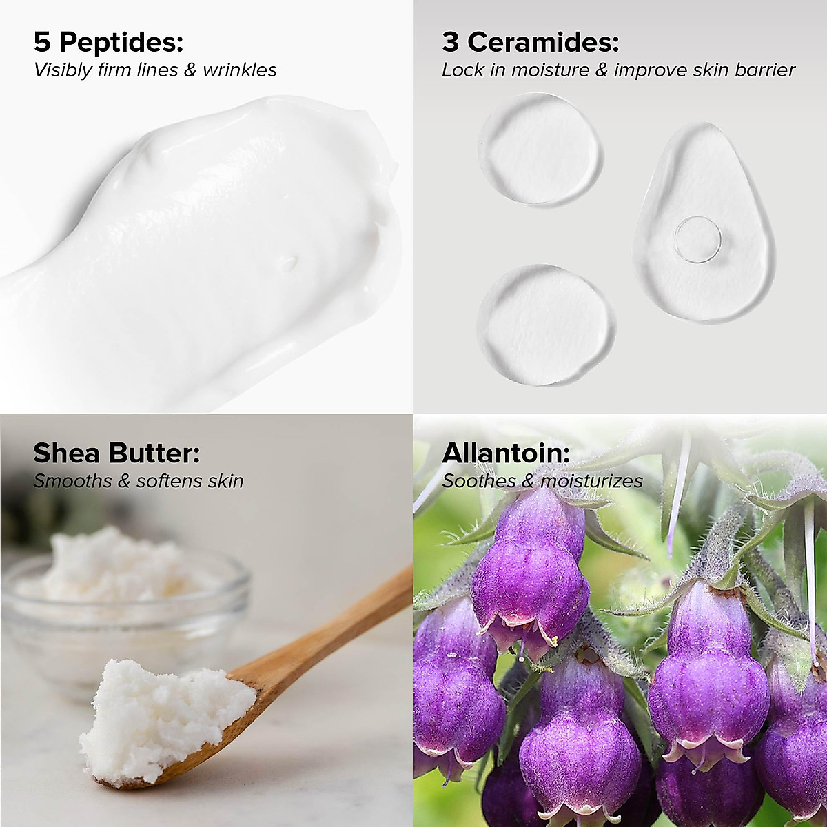 DRMTLGY Peptide Night Cream Face Moisturizer. Fragrance Free and Oil Free Hydrating Facial Moisturizer for All Skin Types. 2.1 oz