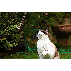 LUDOS ULTRA Wired Earbuds in-Ear Headphones, 5 Years Warranty, Earphones with Microphone, Noise Isolating Ear Buds, Memory Foam for iPhone, Samsung, School Students, Kids, Women, Small Ears - Pink