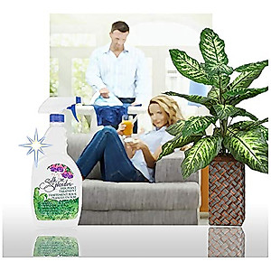 FloraCraft Silk'n Splendor Silk Plant Treatment 24 Ounce