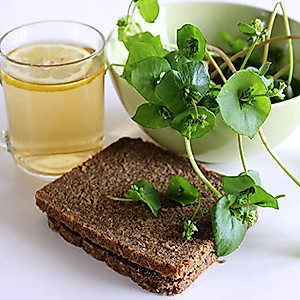 Outsidepride Claytonia Perfoliata Winter Purslane AKA Indian or Miner's Lettuce Herb Garden Plant - 5000 Seeds