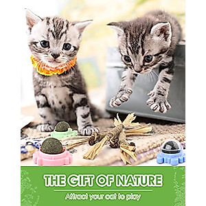 TINDTOP Catnip Balls & Silvervine Sticks Kit, Natural Catnip Toys for Kittens Teeth Cleaning, Matatabi Dental Care, Increase Appetite, Calm Cat Anxiety and Stress, Aggressive Chewers Cat Dental Toy