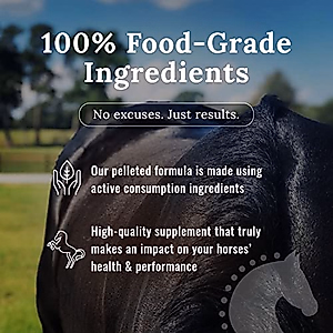 Mojo Joint Horse Supplements, Equine Food Grade Pelleted Supplement, All Natural Joint Care Supplement for Horses, 10 lbs