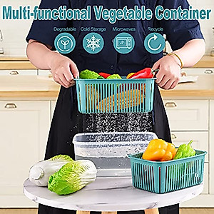 U/C Plastic Food Storage Containers, Fresh Vegetable Fruit Storage Containers for Refrigerator, Kitchen Produce Saver Container with a Draining Basket, BPA Free (5 Pack)