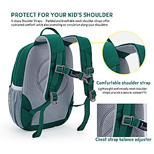 MOUNTAINTOP Kids Toddler Backpack for Boys Girls Preschool Kindergarten Bag