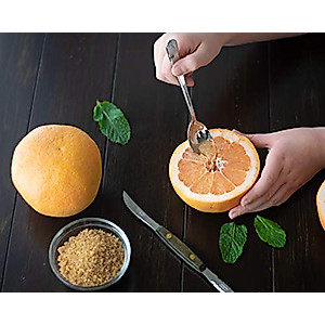Set of 4 Grapefruit spoons, One Grapefruit Knife, and One Grapefruit Keeper