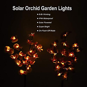 Asixxsix Solar Pathway Light, 2Pcs/Set Elegant LED Garden Light, Delicate for Wedding Festival Decor Outdoor Home Garden Courtyard Lawn Decoration