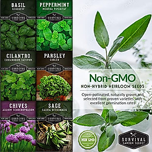 Hydroponics Herb Seed Collection for Planting - Curled Parsley, Sage, Chives, Peppermint, Cilantro & Genovese Basil Herbs for Any Indoor Gardening System- Non-GMO Heirloom Survival Garden Seeds