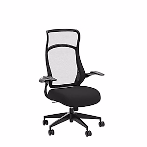 FLEXISPOT OC2 Comfy Office Chair Ergonomic Back Support Home Office Desk Chairs Comfortable Computer Chair with Flip-up Arm Rest Comfy Chair for Living Room/Bedroom/Study(Black)