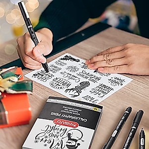 PANDAFLY Calligraphy Pens, 10 Size Calligraphy Pens for Writing, Brush Pens Calligraphy Set for Beginners, Hand Lettering Pens, Brush Markers Set, Black Ink Drawing Pens