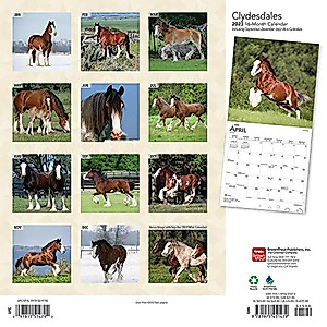 Clydesdales | 2023 12 x 24 Inch Monthly Square Wall Calendar | BrownTrout | Animals Horses