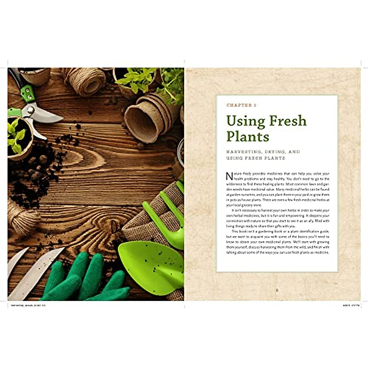 The Modern Herbal Dispensatory: A Medicine-Making Guide