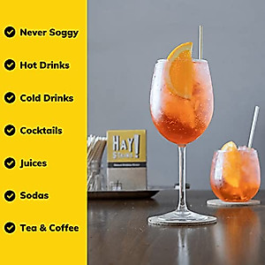 HAY! Straws | 3000ct. Bulk Straws | 5" | 100% Compostable, 100% Plant-Based, Never Soggy, Gluten-Free | Sustainable Alternative to Plastic & Bioplastic Straws