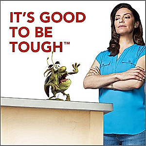 Raid Ant and Roach Killer Fragrance Free, 17.5 OZ (Pack - 3)