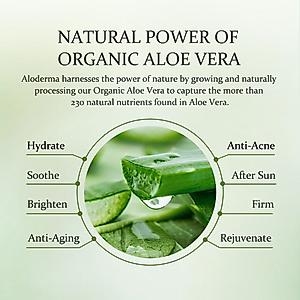 Aloderma Organic Aloe Vera Gel for Face & Body, 96% Pure Aloe Gel Made within 12 Hours of Harvest, Ideal for Skin, Scalp, & Hair Hydration, Calming Moisturizer for Soothing After Sun Care Relief, 7oz
