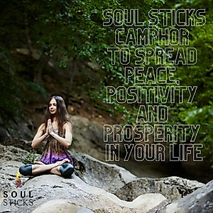 SOUL STICKS Natural Camphor Blocks (56 Grams, 12 Tablets) Pure Camphor Tablets for Aromatherapy & Puja - Alcanfor en Bloques, Alcanfor Tablets, Alcanfor en Bolitas, Kapoor for Pooja