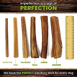 Sancho & Lola's Bully Sticks for Dogs Standard 9.5oz (10-12 Count) Made in USA - No Antibiotics No Growth Hormones, High-Protein Beef Pizzle Dog Chews