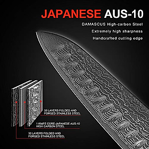 WELLSTAR Santoku Knife, Damascus Steel Kitchen Knife 7 Inch, Japanese AUS10 High Carbon Steel 67-Layer Blade Full Tang with Ergonomic G10 Handle, Razor Sharp Chefs' Knife - Gift Box