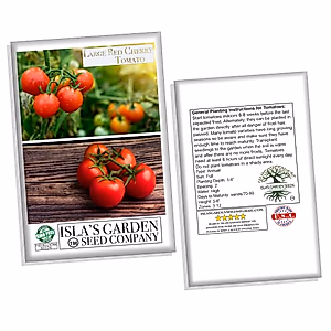 Large Red Cherry Tomato Seeds for Planting, 500+ Heirloom Seeds Per Packet, (Isla's Garden Seeds), Sweet, Non GMO Seeds, Botanical Name: Solanum lycopersicum, Great Home Garden Gift
