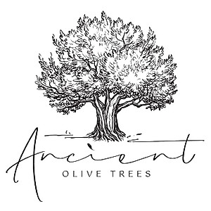 ANCIENT OLIVE TREES - Balsamic Vinegar | Aceto Balsamico di Modena IGP | Perfect for Any Sauce, Marinade, Salad, Fruit, or Vegetable Dish | 12.6 FL. OZ. | 1 CT