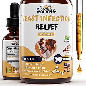 Natural Yeast Infection Treatment for Dogs - Helps to Support Itching Relief, Allergy Relief, Inflammation Relief & More - Itch Relief for Dogs - Dog Ear Infection Treatment - Dog Itch Relief - 1 oz