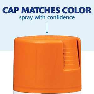 Rust-Oleum 334089 Painter's Touch 2X Ultra Cover Spray Paint, 12 oz, Satin Rustic Orange