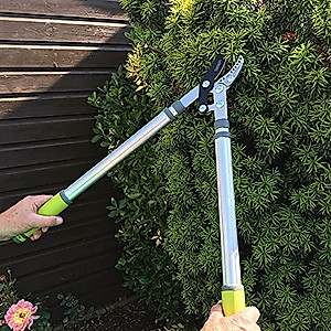 Premium Anvil Loppers Heavy Duty - Telescopic Extending Long Handle Branch Cutter made with Durable SK5 Steel, Heavy Duty Loppers for Thick Branches, Davaon Pro